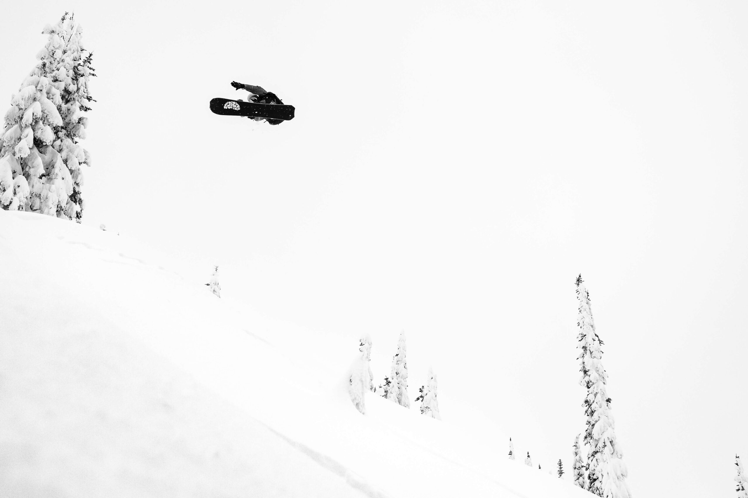 T.RICE GOLDEN ORCA & APEX ORCA 25/26 EARLY RELEASE - Snowboard ...