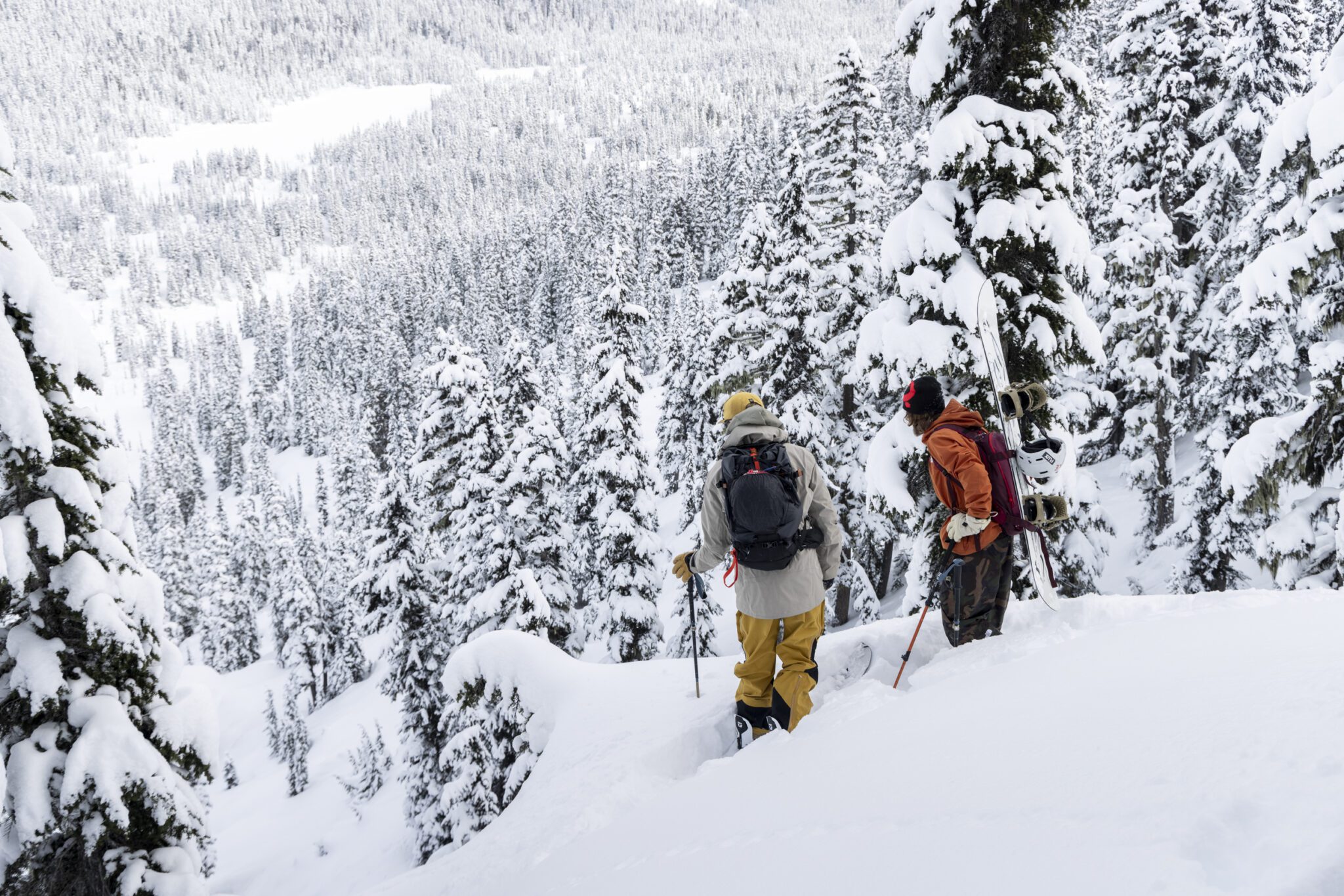 Window Now Open for the YETI Natural Selection Revelstoke - Snowboard ...