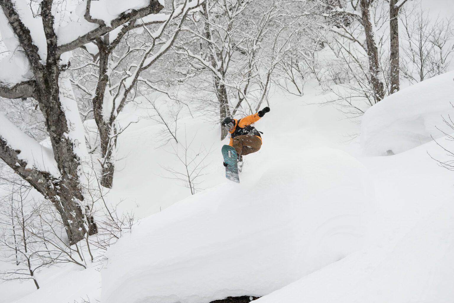 Natural Selection Announces a new format: Super Sessions as the First ...